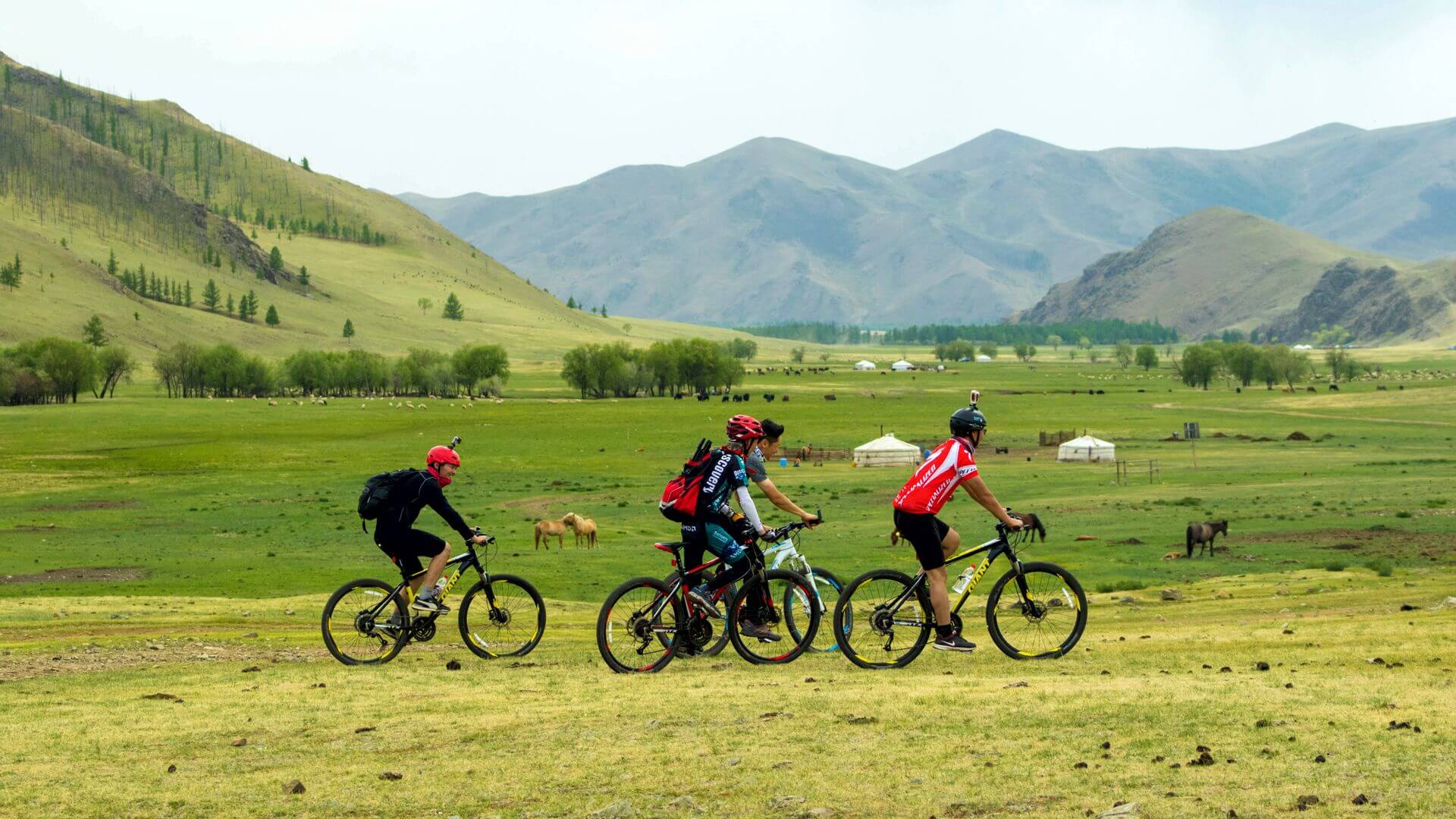 DMC | Destination Management Company | Tours & Travel Mongolia I Activities