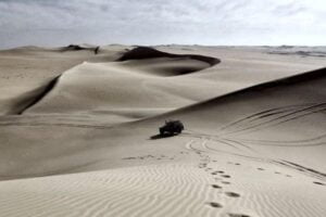 DMC | Destination Management Company | Tours & Travel Mongolia I Altan Els